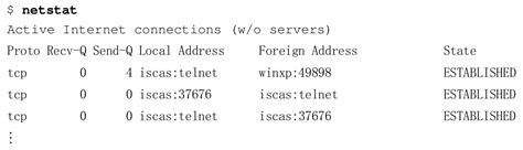 Netstat Linux命令简明手册