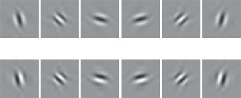 figure 1 from noise reduction based on partial reference dual tree