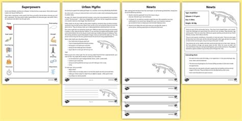FREE Years 3 And 4 Chapter Chat Chapters 12 15 Activity Pack To