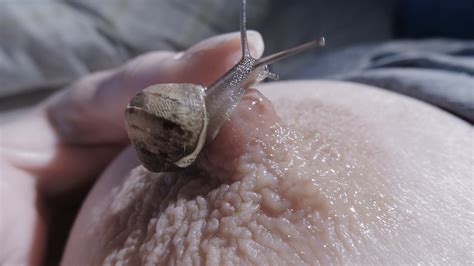 Snail Trail Women Naked With Insects Motherless