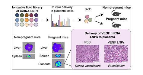 Ionizable Lipid Nanoparticles For In Vivo MRNA Delivery To The Placenta During Pregnancy