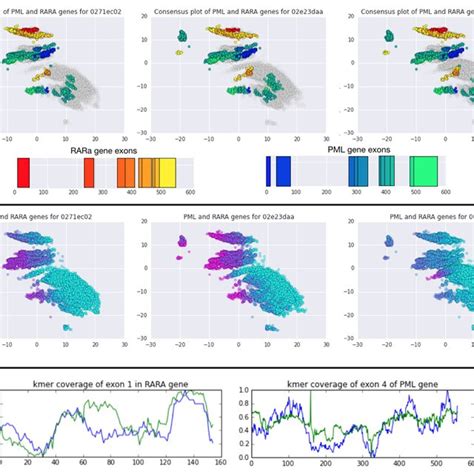 Kmer Embedding Space A Kmer Embedding Space Is Shown With Kmers Of 3 Download Scientific