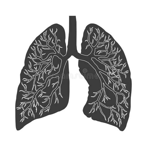 Lungs Black Vector Icon Stock Vector Illustration Of Hospital 127379279