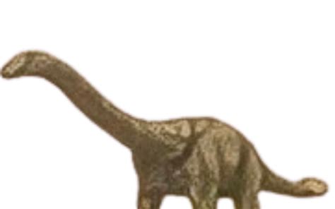 Apatosaurus By Dracoawesomeness On Deviantart