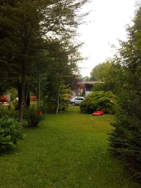 Scenic View Of Grassy Front Yard Premium Photo