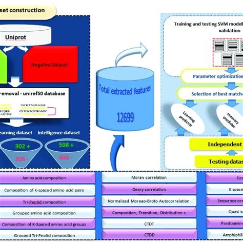 Pipeline Of Developing Svm Based Models For Intellpred Software