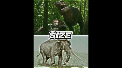 Tyrannosaurus Rex Vs Palaeoloxodon Namadicus Trex Palaeoloxodon Dino