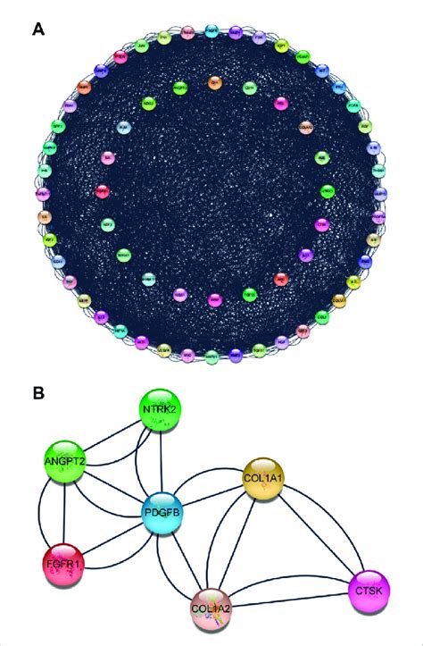 Protein Protein Interaction Ppi Network A Protein Protein