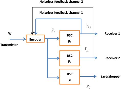 binary symmetric case of the compound wtc with noiseless feedback