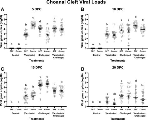 Mitigation Of False Layer Syndrome Through Maternal Antibodies Against