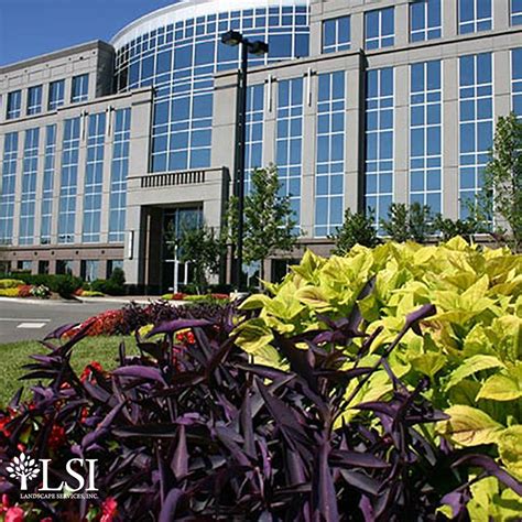 Lsi Landscape Services Inc On Linkedin Lsi Landscaping