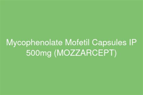 Mycophenolate Capsule 500mg Manufacturer Pan India Andsupplier