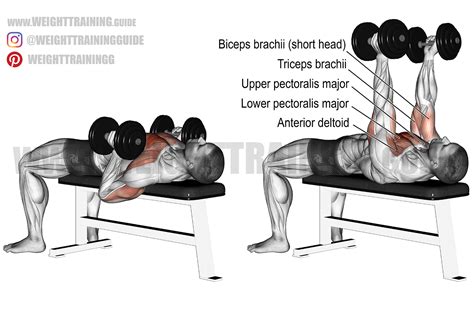 Bench Press Muscles Worked
