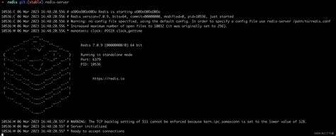 【mac os 命令行】redis的安装、启动和停止。就是如此简单 brew 启动redis csdn博客