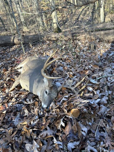 Drew Cronic 2022 Georgia Outdoor News