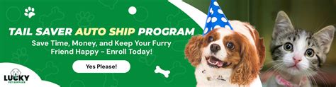 High Quality Pet Supplies For Cats And Dogs Toys Food Accessories