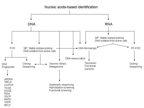 Schematic Representation Of The Different Strategies Used For Microbial Download Scientific