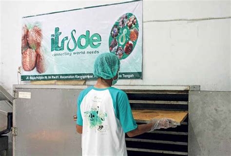 Bisnis Manis Gula Semut Trubus
