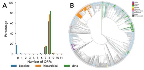 Diffusion Based Hierarchical Modeling Of Sarscov 2 Genomes Results In Download Scientific