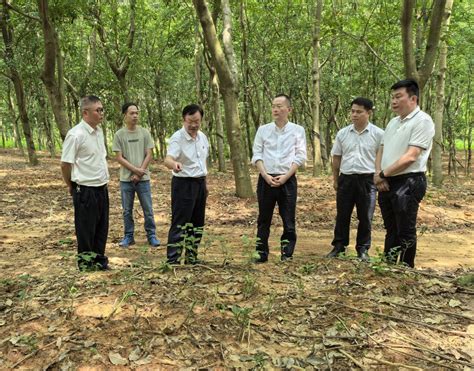 广东省农垦集团公司领导到茂名农垦调研 茂名农垦信息网