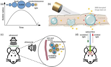 A Schematic Radius Vs Time Diagram For A Gas Bubble Oscillating In