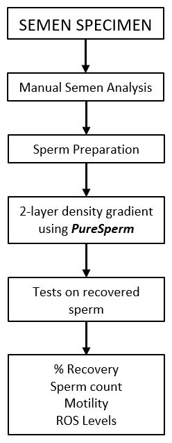 The Flow Diagram Showsthe Sil Select Plusdensity Gradient Media
