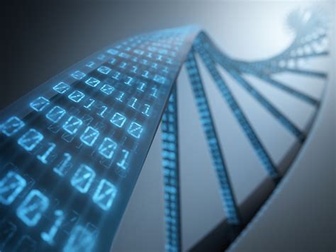 How Does Neuroevolution Of Augmenting Topologies Contribute To Genetic