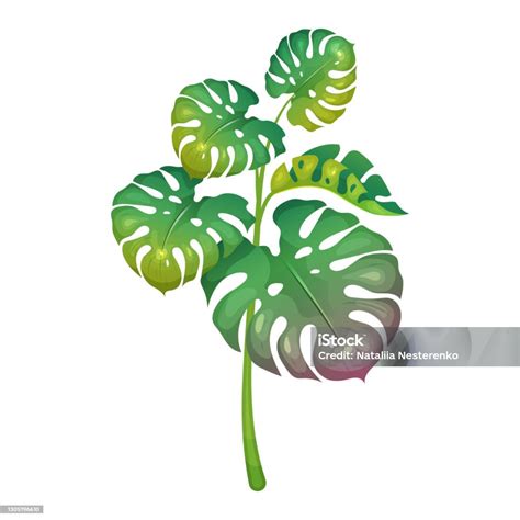 정글 식물 만화 벡터 일러스트 장식 몬스터 나뭇잎 아열대 고사리 남쪽 야생 녹지 열대 부시 플랫 컬러 오브젝트 흰색 배경에 고립 된 이국적인 단풍 0명에 대한 스톡 벡터