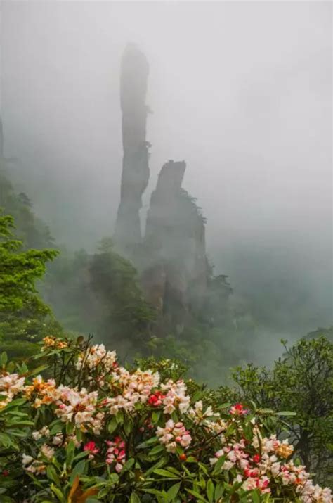 三清山官网