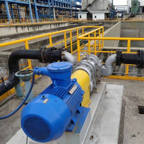 The Ultimate Guide To Rotary Lobe Pumps Yaness