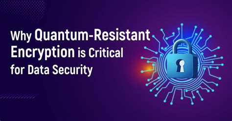 Why Quantum Resistant Encryption Is Critical For Data Security Prophaze Blog
