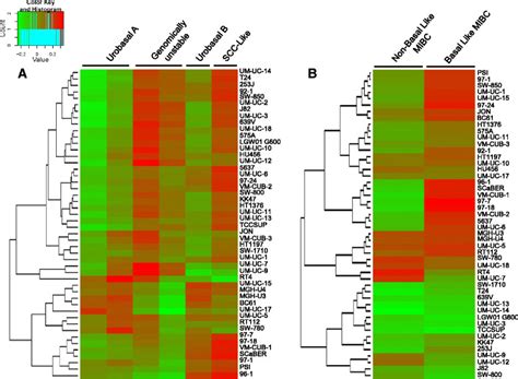 Clustering Of Ubc Lines According To The Expression Of Gene Signatures Download Scientific