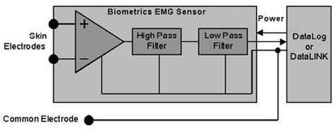 Myoelectric Sensor