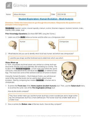 The Science Of Light And Optics The Science Of Light Unraveling The Mysteries Of Optics
