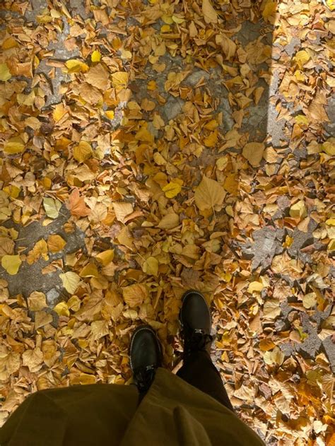 Autumn vibes 🍂