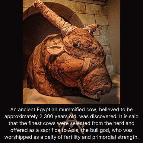“ancient Explorers” 85 Fascinating Pics From This Page Thats