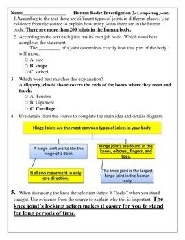 Human Body Foss Science Comparing Joints By Heather Mears TPT