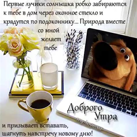 Доброе утро среда 81 фото