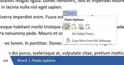 word paste options explained your business documents
