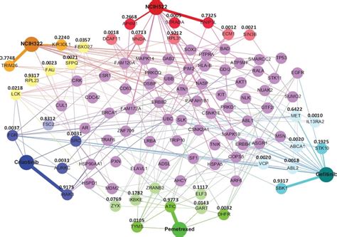 Graphsynergy A Network Inspired Deep Learning Model For Anticancer Drug Combination Prediction