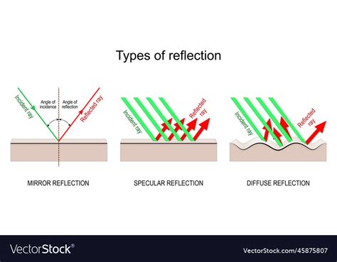 Types Of Reflection Specular Diffuse And Mirror Vector Image