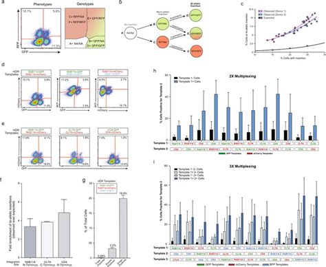 Bi Allelic And Multiplexed Non Viral Genome Targeting A We Wanted To