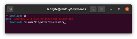Can Not Load XPCOM When Launching Waterfox Code