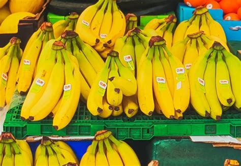 역류성식도염 증상 기침 가래 등 9가지 원인 자가 치료 방법 및 좋은 음식 네이버 블로그 역류성식도염 증상 기침 가래 등 9가지 원인 자가 치료 방법 및 좋은 음식 네이버 블로그