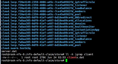 The Nats Cluster To Crashone Of The Clientdat In The Cluster Is Corrupted · Issue 1199