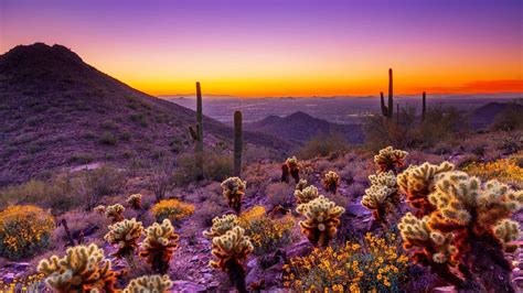 Arizona Sunset Wallpapers 4k Hd Backgrounds On Wallpaperbat