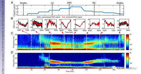 【时频分析】状态空间多锥时频分析【附matlab代码】 知乎