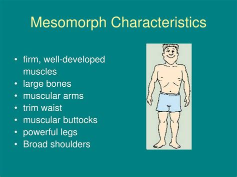 Ppt Body Composition Powerpoint Presentation Free Download Id3790236