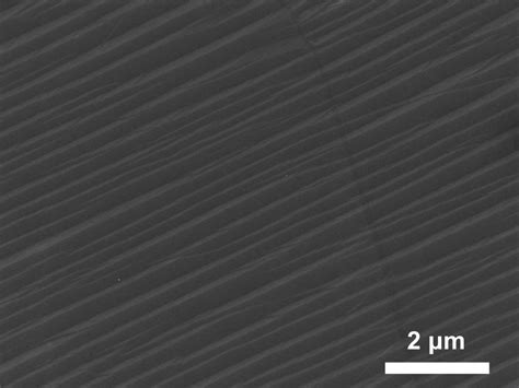 Graphene Sem With Scale Grolltex Graphene Rolling Technologies