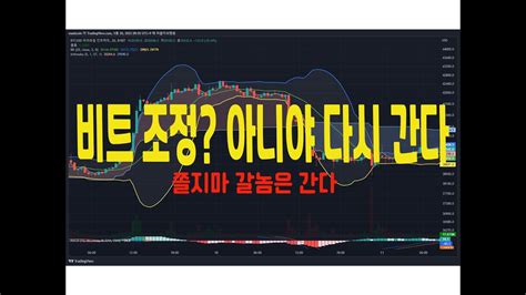 마동석코인 마코 비트 조정 아니야 다시간다 쫄지마 갈놈은 간다 이더리움 비트코인가이드 비트코인 알트코인 차트분석 코린이 나스닥 리플 알트코추천 도지코인